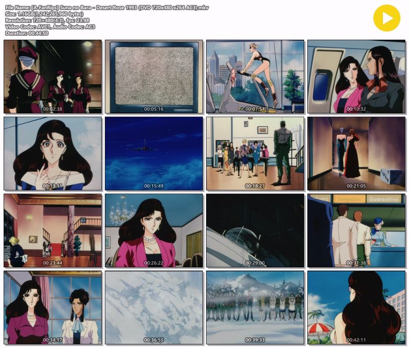 사막의 장미-눈의 묵시록 (Desert Rose, 1993년)[OVA]