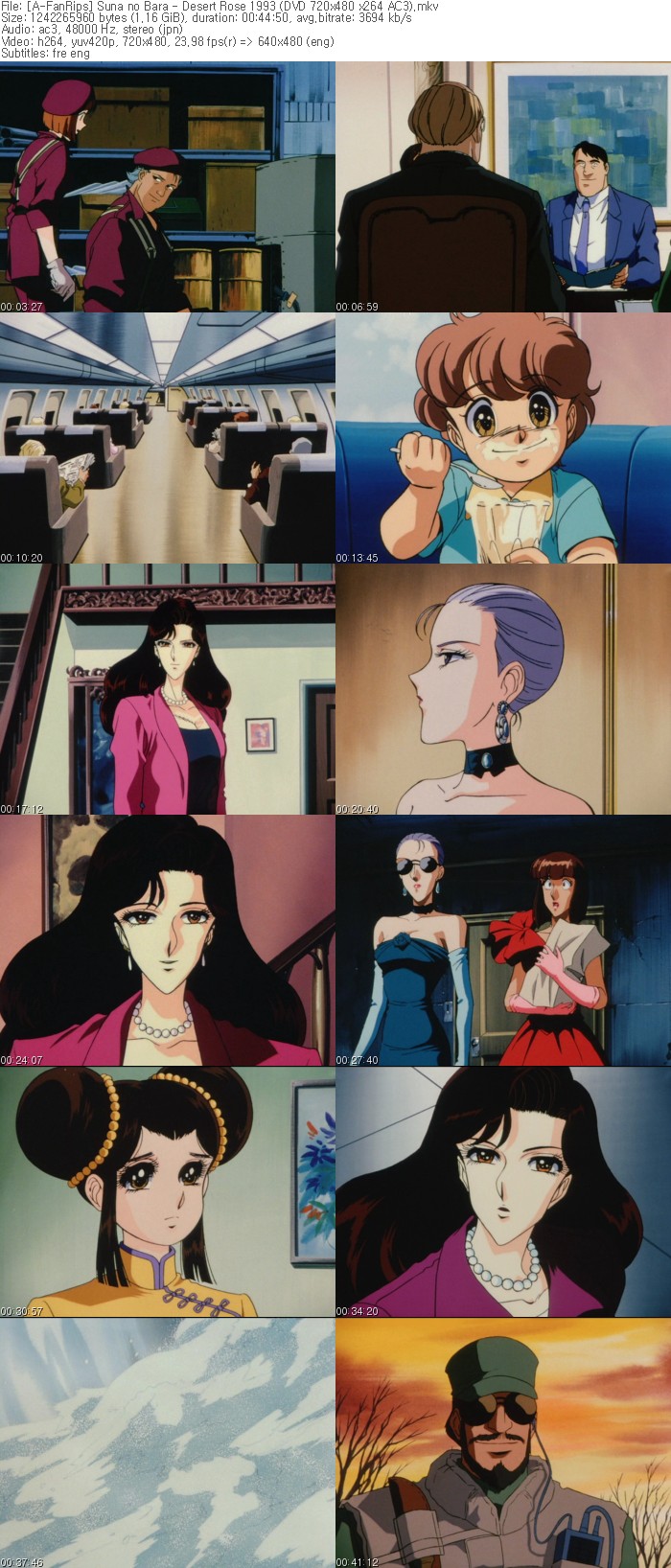 사막의 장미-눈의 묵시록 (Desert Rose, 1993년)[OVA]